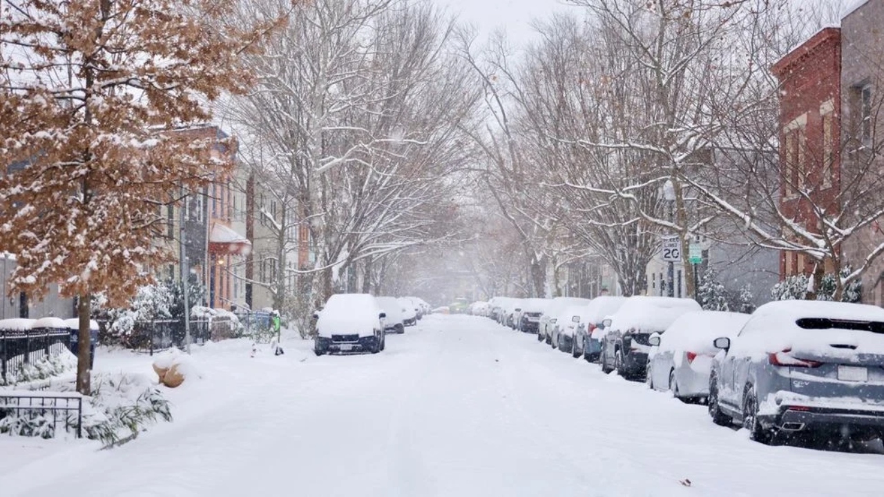 Washington Weather Alert: First Snow Arrives—Could You Survive Stranded ...
